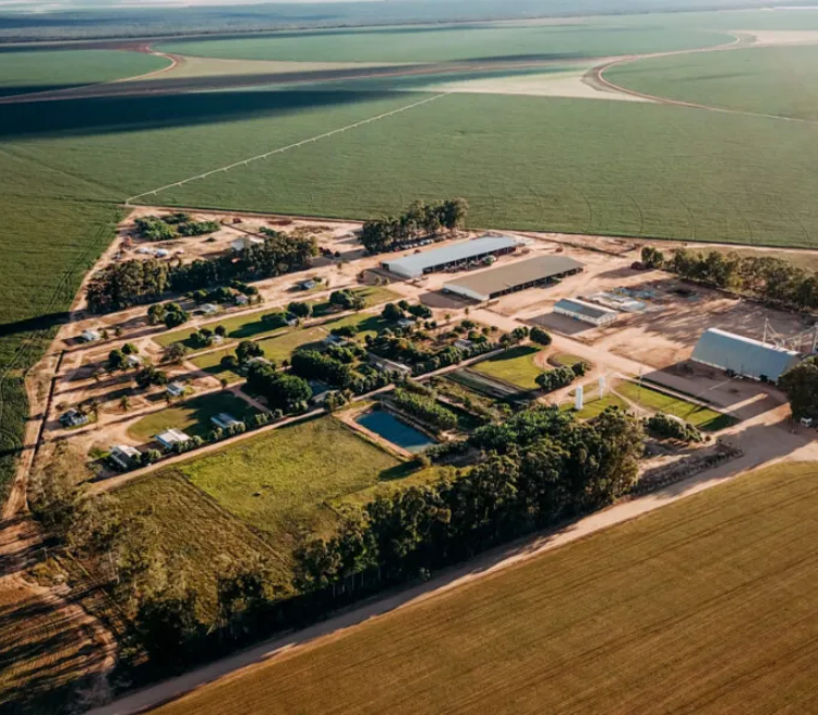 Grupo Franciosi Agro adota soluções da Invent Software para gestão do ...