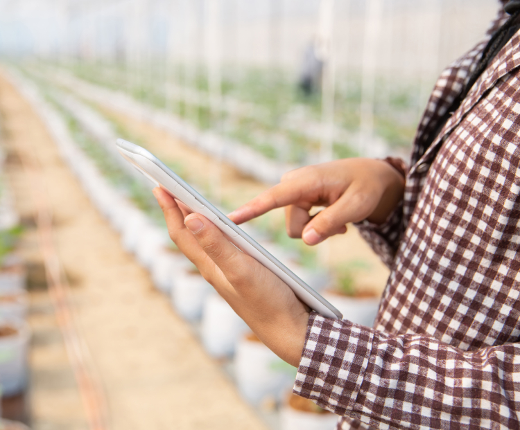 BASF Agro e Cadastra abordam em evento como utilizar dados na jornada ...