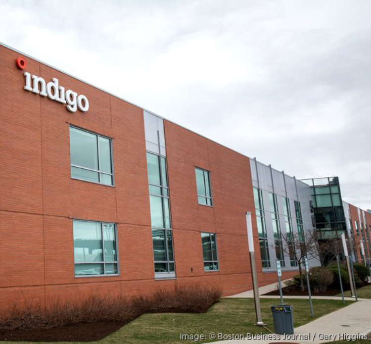 Indigo Ag anuncia venda recorde de créditos de carbono à Microsoft ...