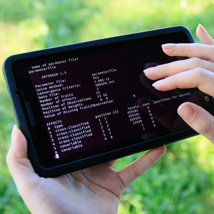 Embrapa lança atualização de software que avalia genética de bovinos ...