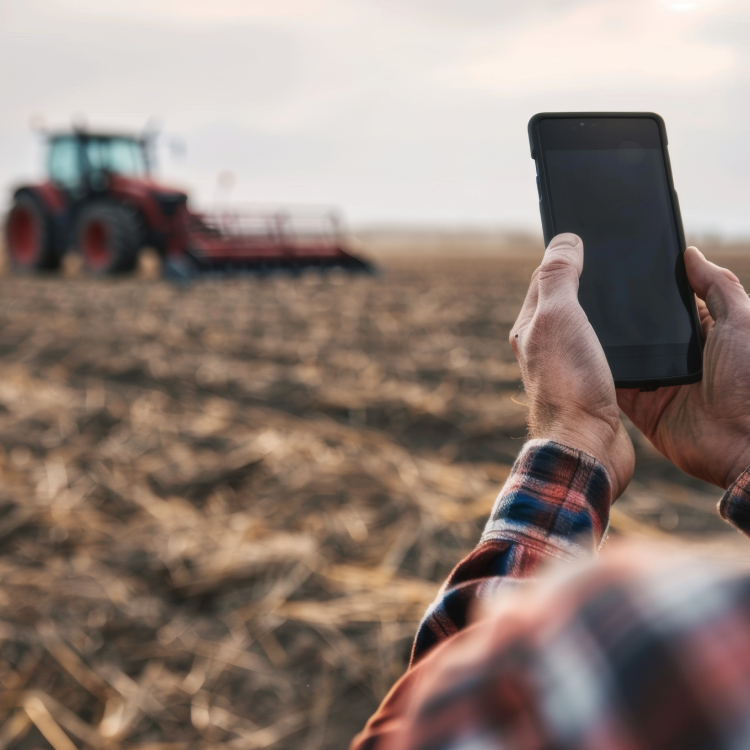 IA avança no agro e ganha cada vez mais espaço no setor | Portal Agro ...
