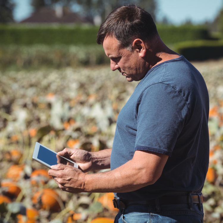 Pesquisa revela perfil do produtor rural que pede empréstimo digital | Portal Agro Summit