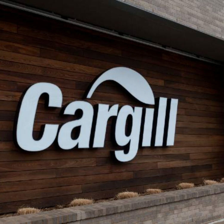 Cargill lança plataforma para maior produtividade às granjas | Portal ...