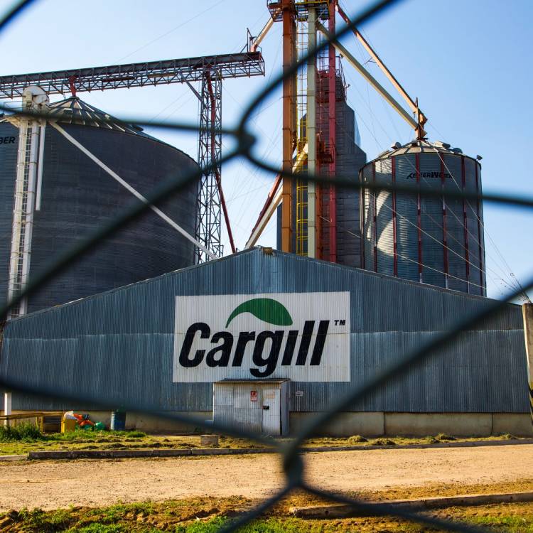 Cargill lança solução para otimização da cadeia de ração de aves e ...