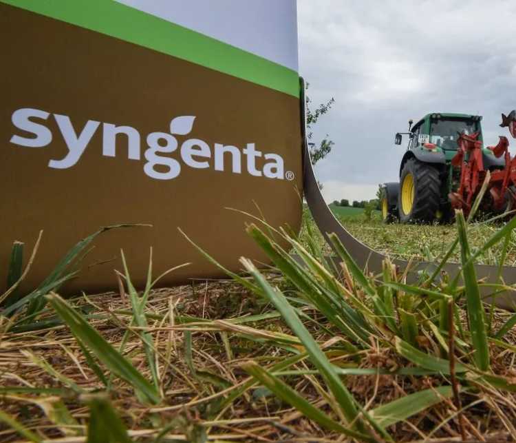 Syngenta se une à IBM e Maxygen para oferecer soluções tecnológicas à ...