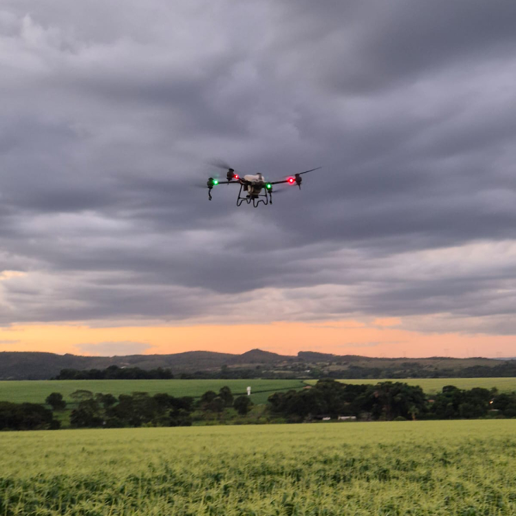 Fugini conclui projeto-piloto de drones para o cultivo de milho doce em ...