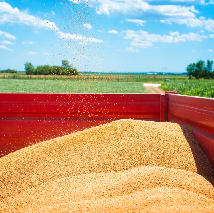 Oportunidades e desafios tecnológicos no agronegócio em 2025 | Portal ...